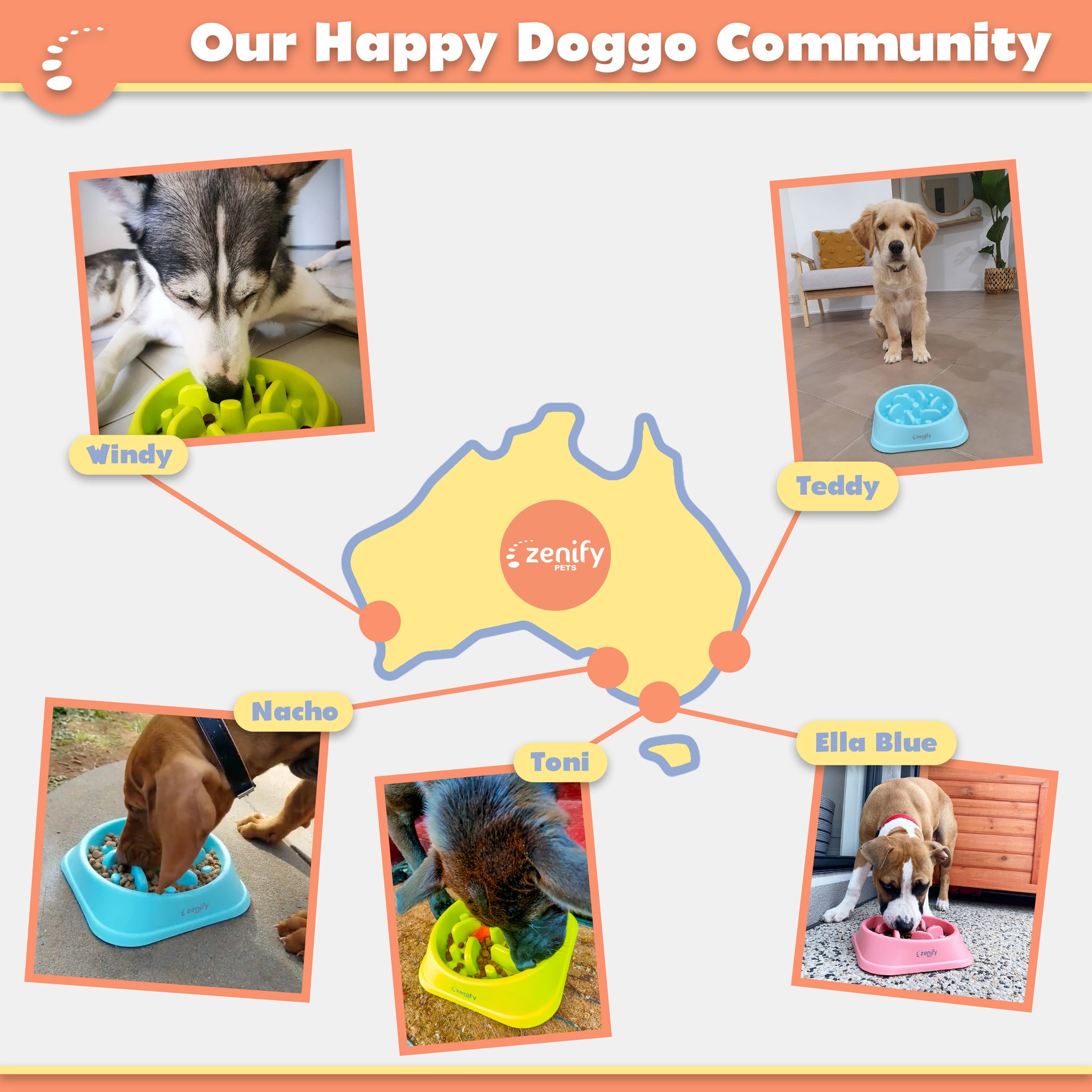 Zenify Pets Slow Feeder Dog Bowl